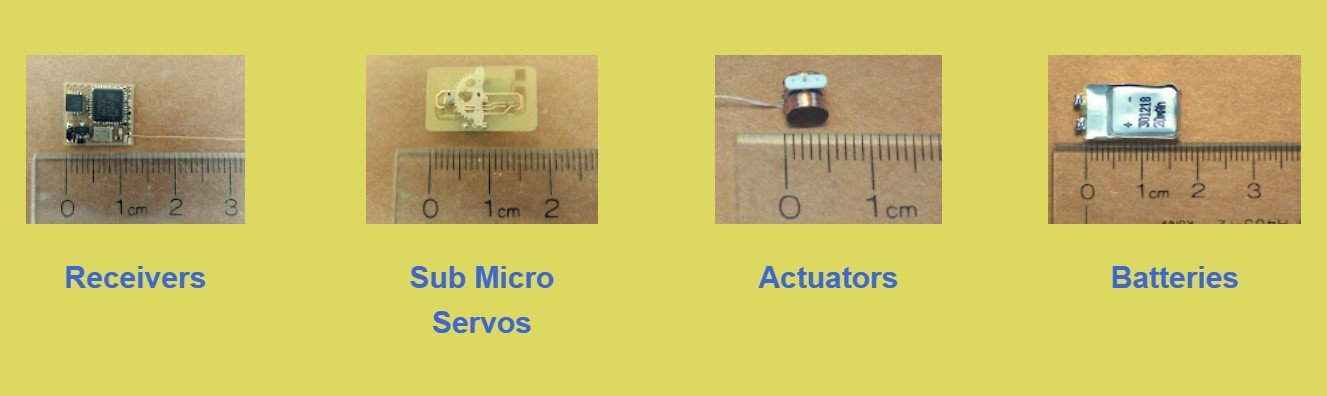 Micro RC Planes: All You Need To Know As A Beginner - The Radio Control ...
